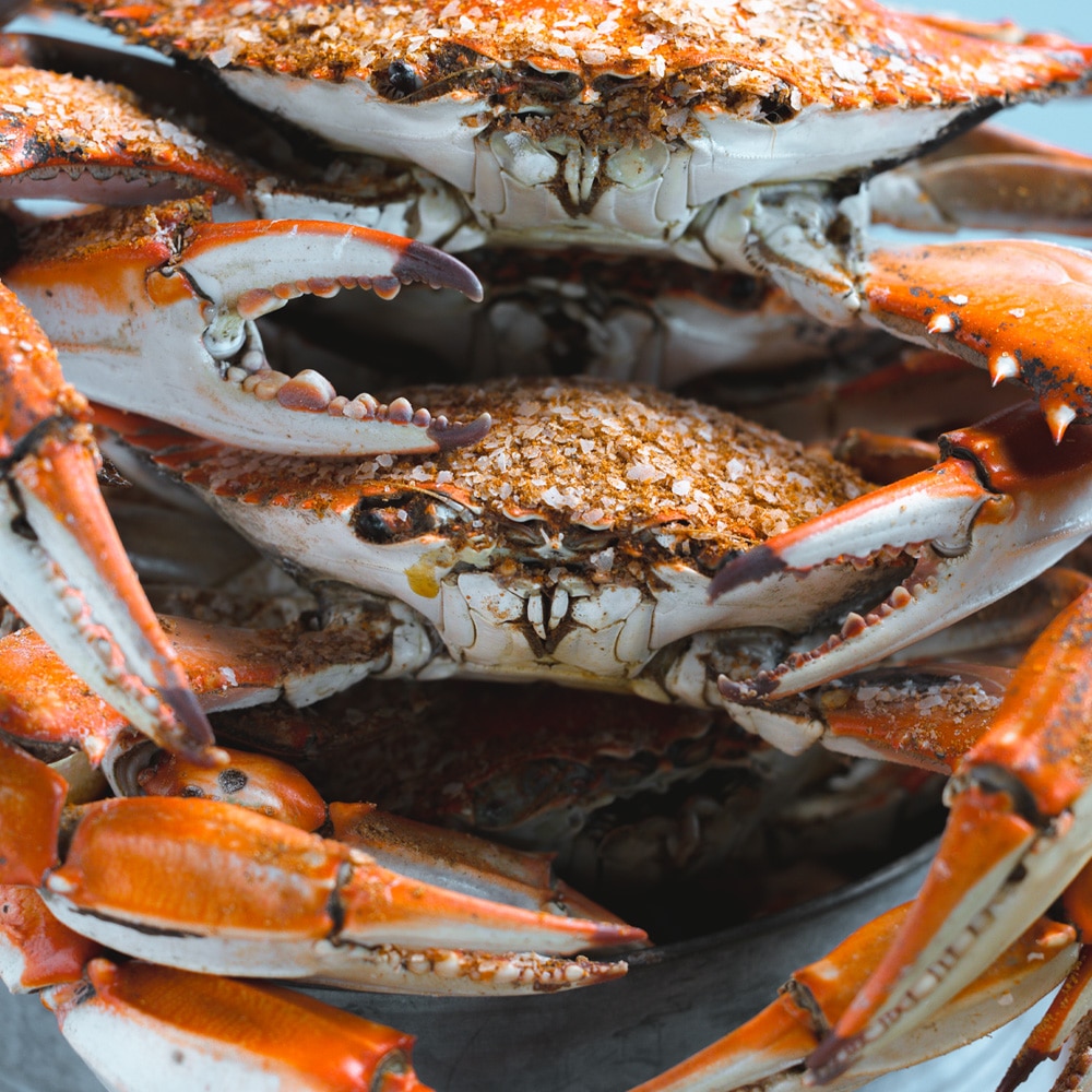 Steamed Blue Crabs - Jimmys Famous Seafood