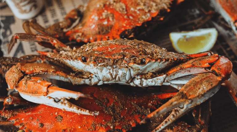 Famous Fleet - Jimmys Famous Seafood